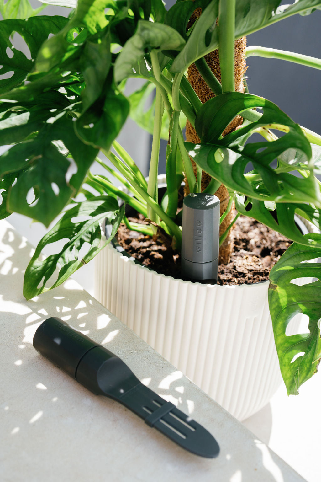 Smart Plant Sensor | Interactive Plant Monitor | Plant With Willow