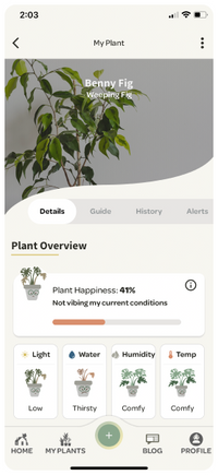 Hub | Plant With Willow