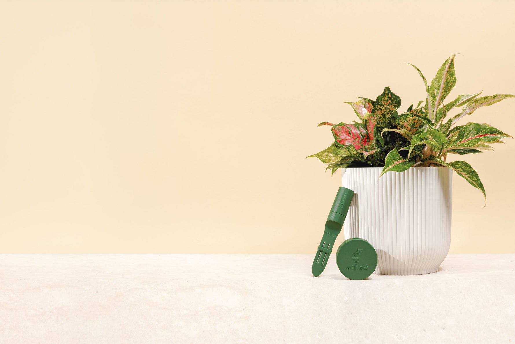 Smart Plant Sensor | Interactive Plant Monitor | Plant With Willow