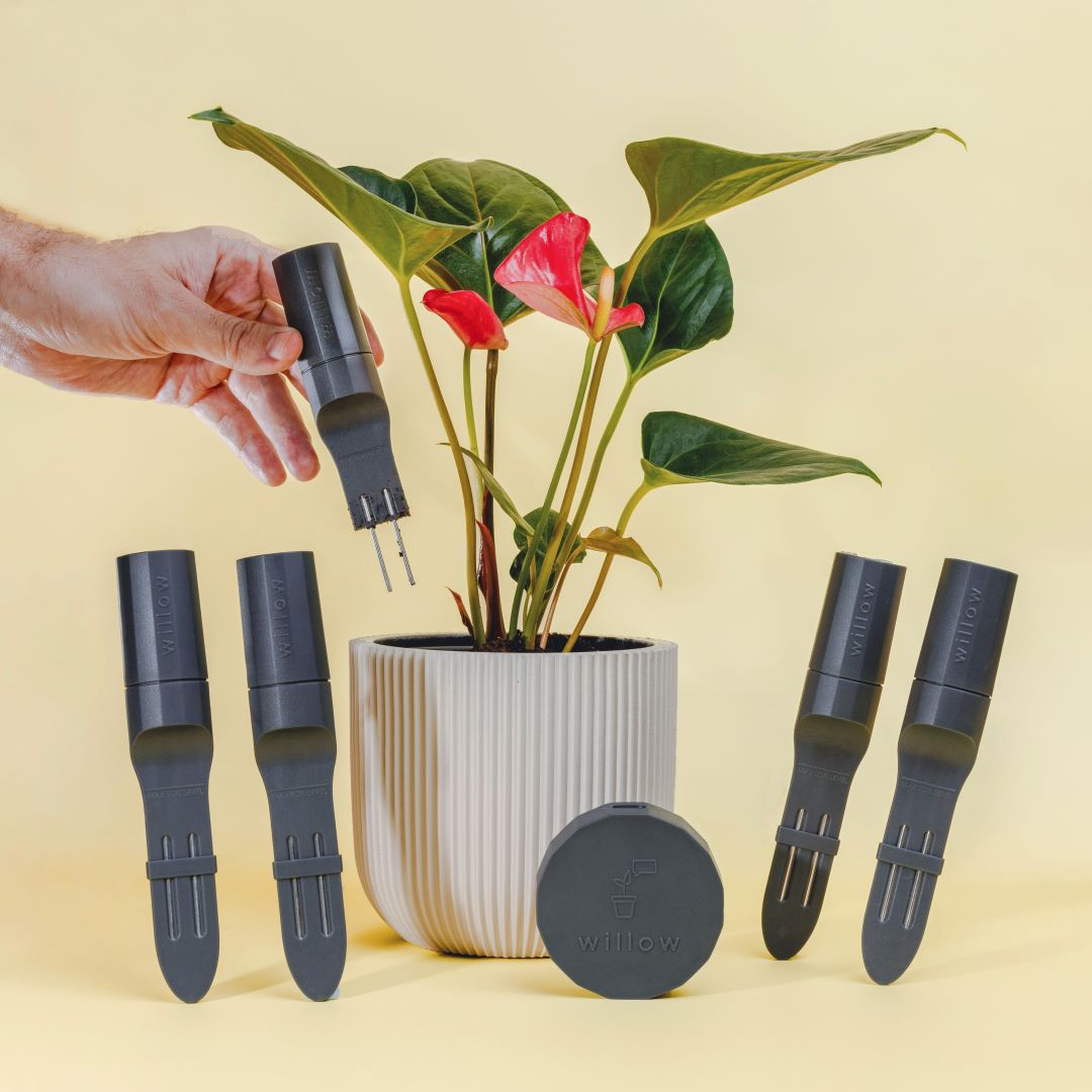 Urban Jungle - Smart Plant Sensors with Hub and App for Houseplants