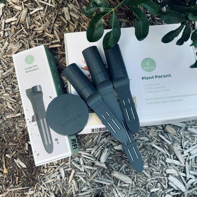 Smart Plant Sensor | Interactive Plant Monitor | Plant With Willow – PW ...