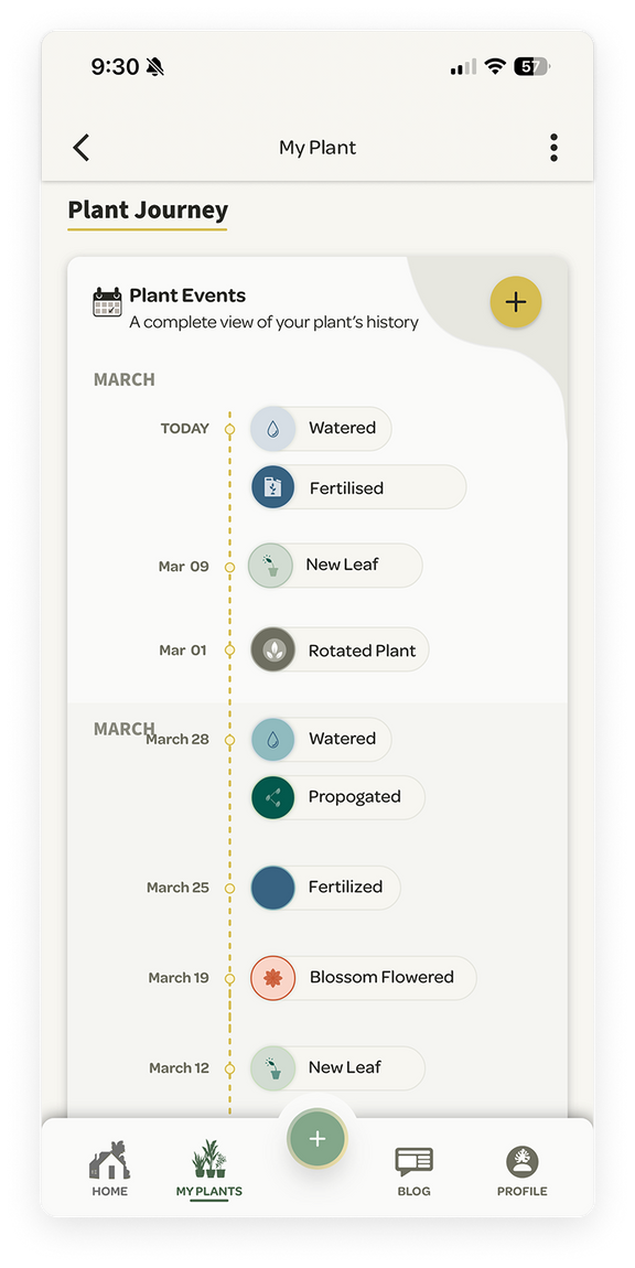 Willow App – PW Willow Pty Ltd