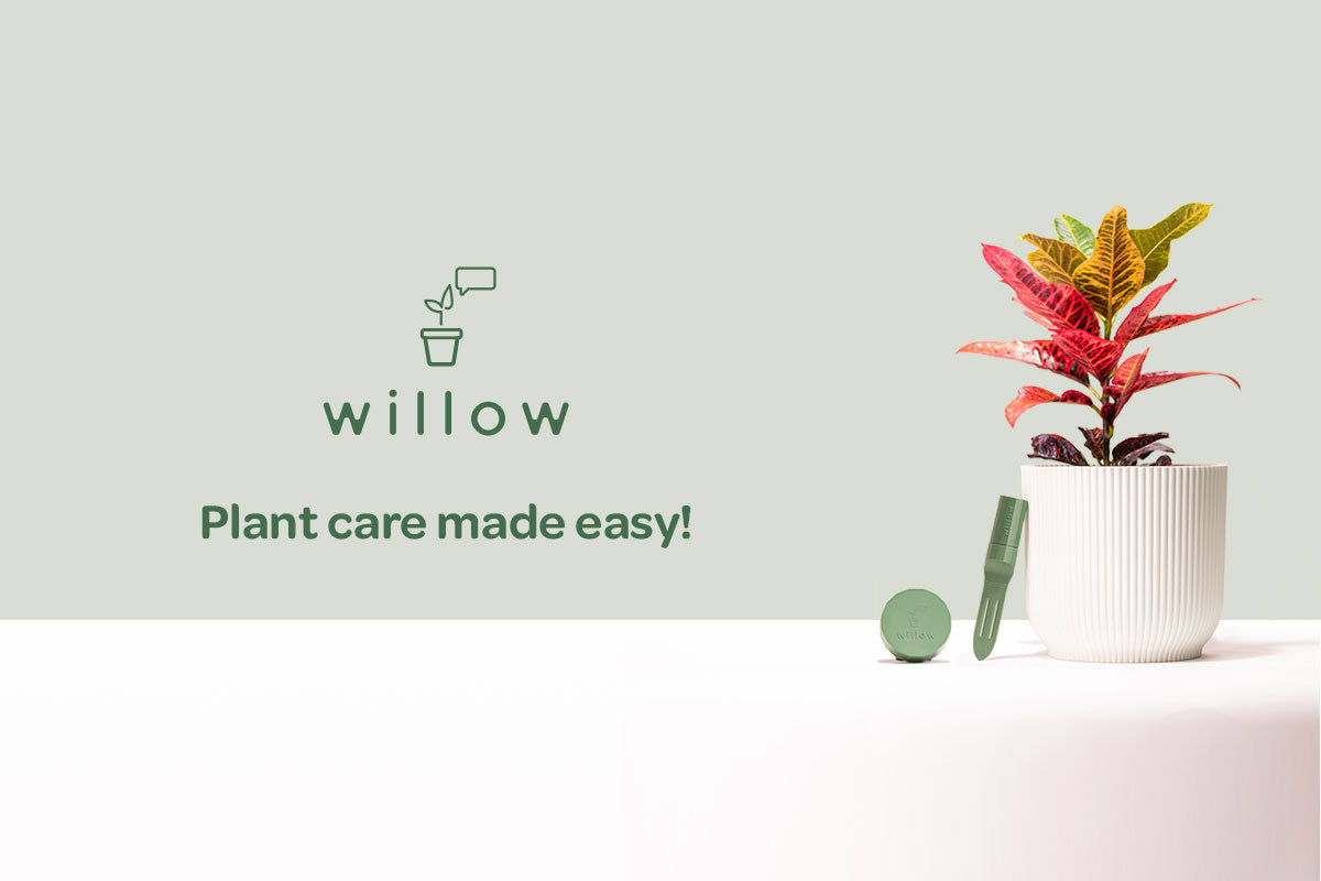 Smart Plant Sensor | Interactive Plant Monitor | Plant With Willow – PW ...